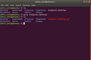 How to use the Gzip command in Linux