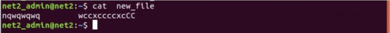 How To Display The Contents Of A Text File On The Terminal In Linux Ubuntu