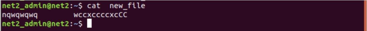 How To Display The Contents Of A Text File On The Terminal In Linux Ubuntu