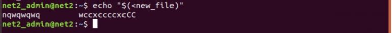 How To Display The Contents Of A Text File On The Terminal In Linuxubuntu
