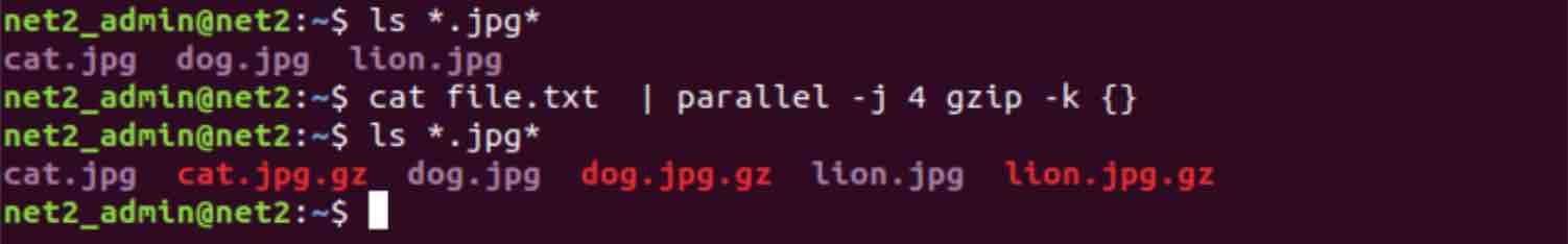 How To Execute Commands In Parallel In Linux