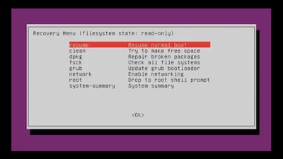 How to Access Recovery Mode in Ubuntu Linux 22.04