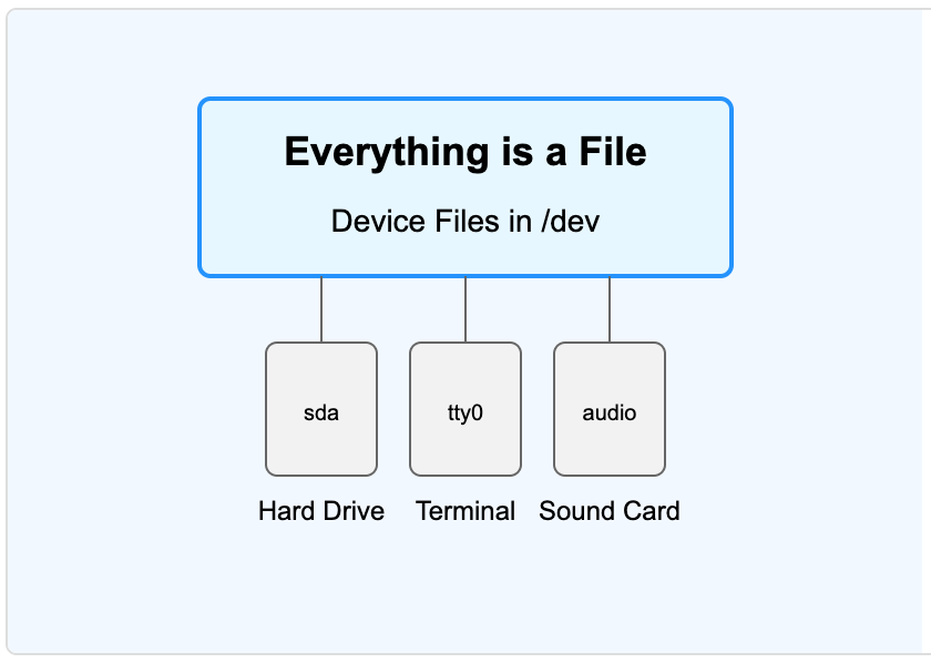 Demystifying Linux Devices and Modules: A Practical Guide for Admins